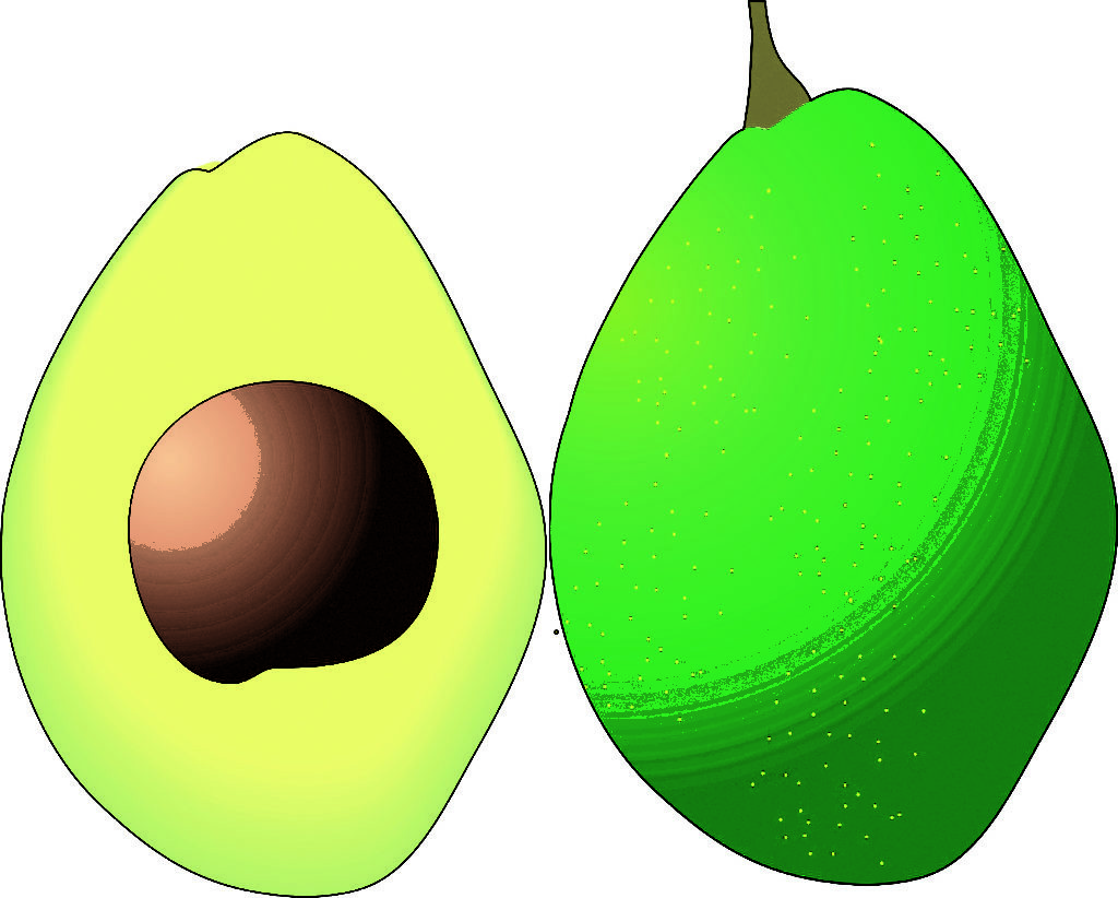 Abacate: versátil e nutritivo - Revista Natureza