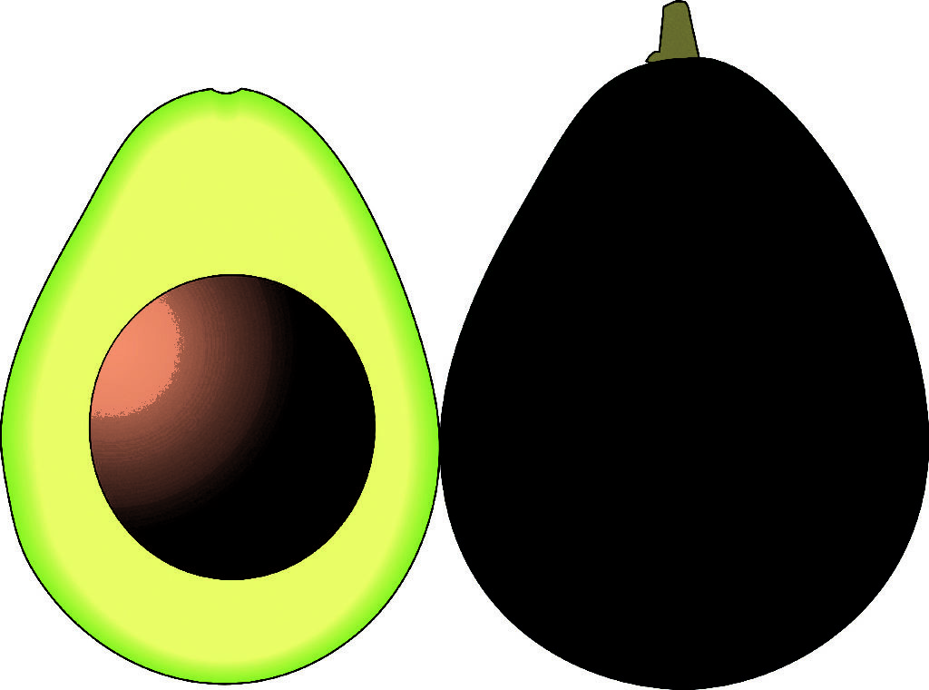 Abacate: versátil e nutritivo - Revista Natureza