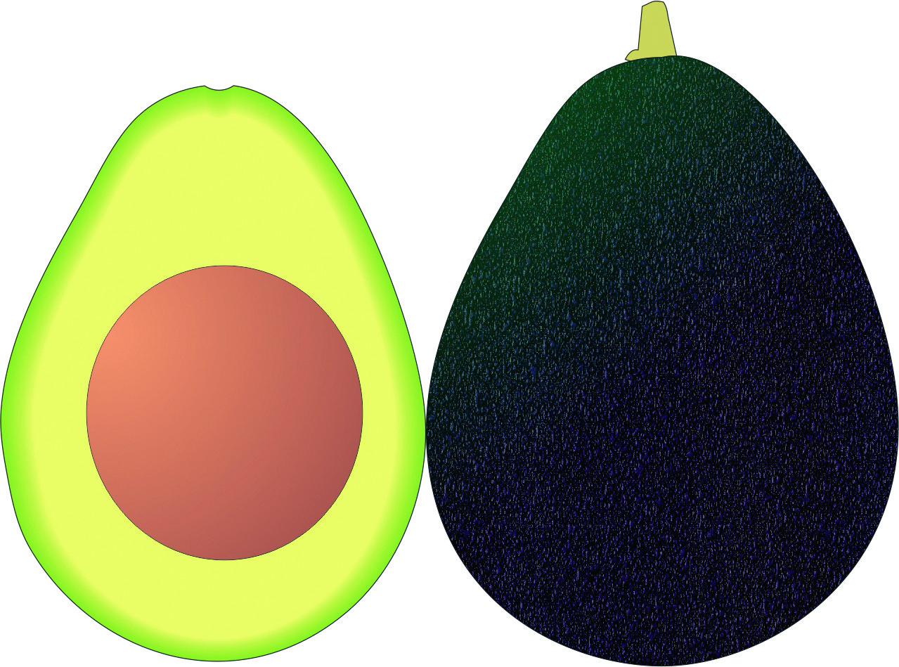 Abacate: versátil e nutritivo - Revista Natureza