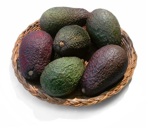 Abacate: versátil e nutritivo - Revista Natureza