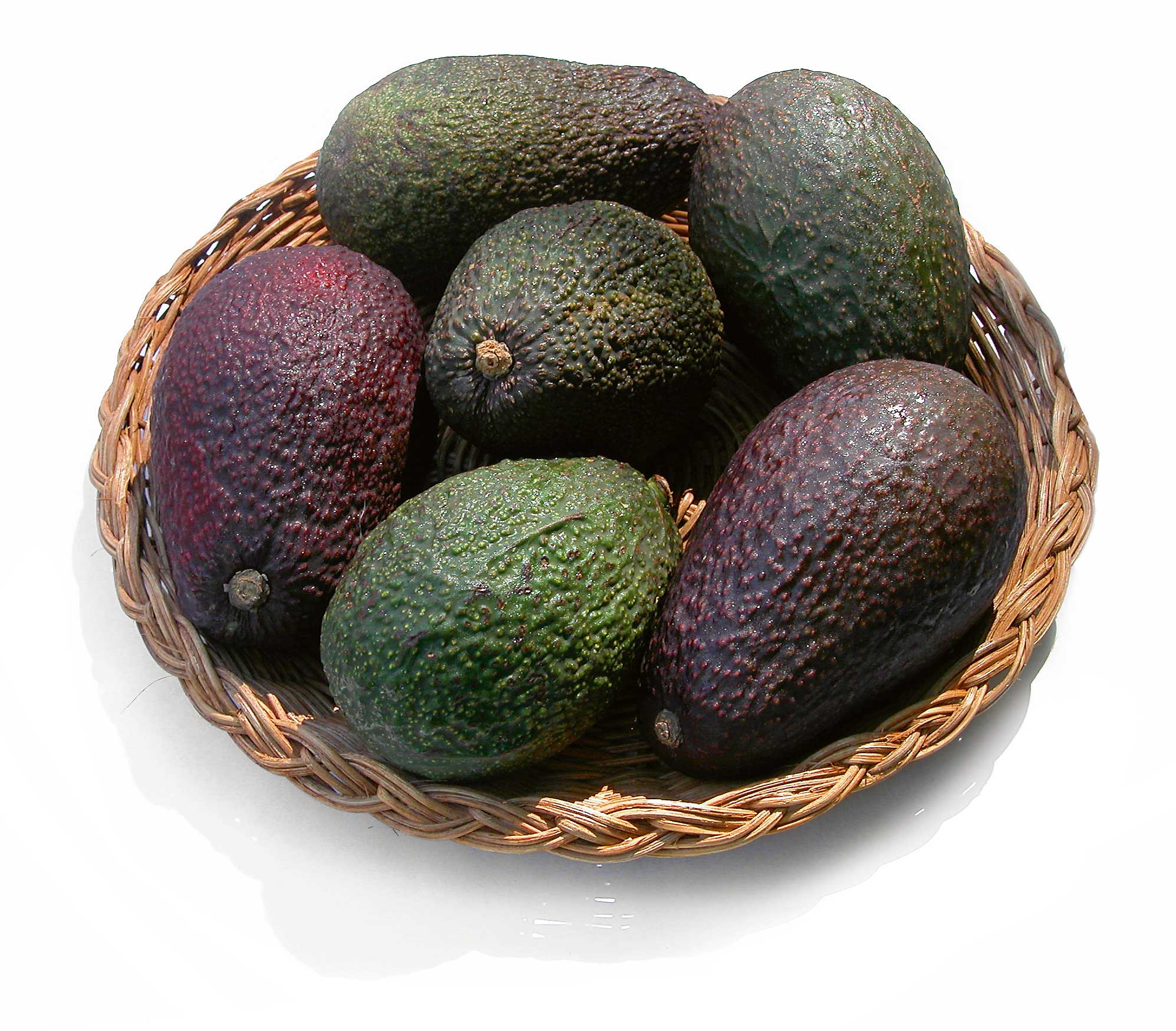 Abacate: versátil e nutritivo - Revista Natureza