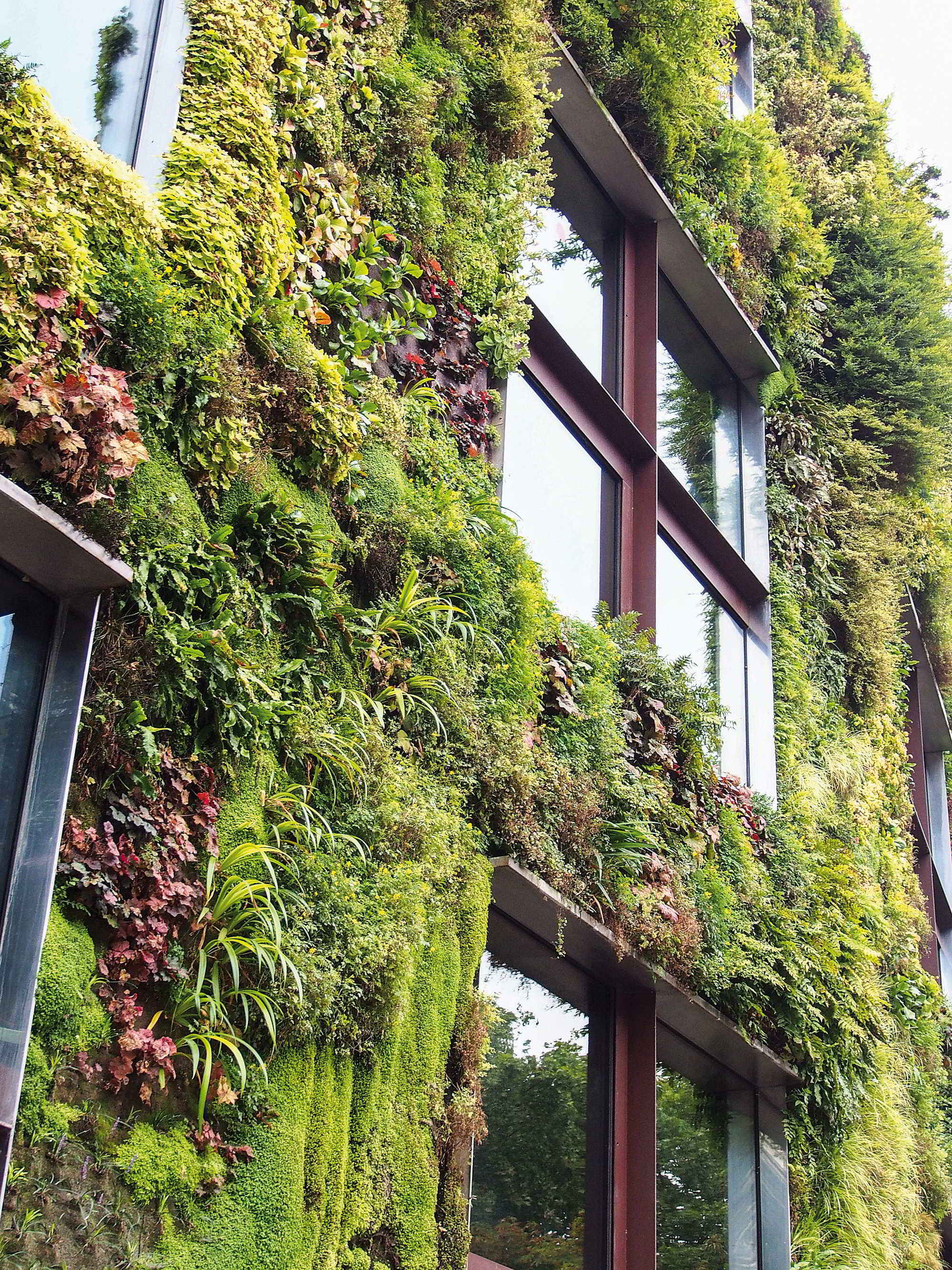 Verticalizando a botânica - Revista Natureza