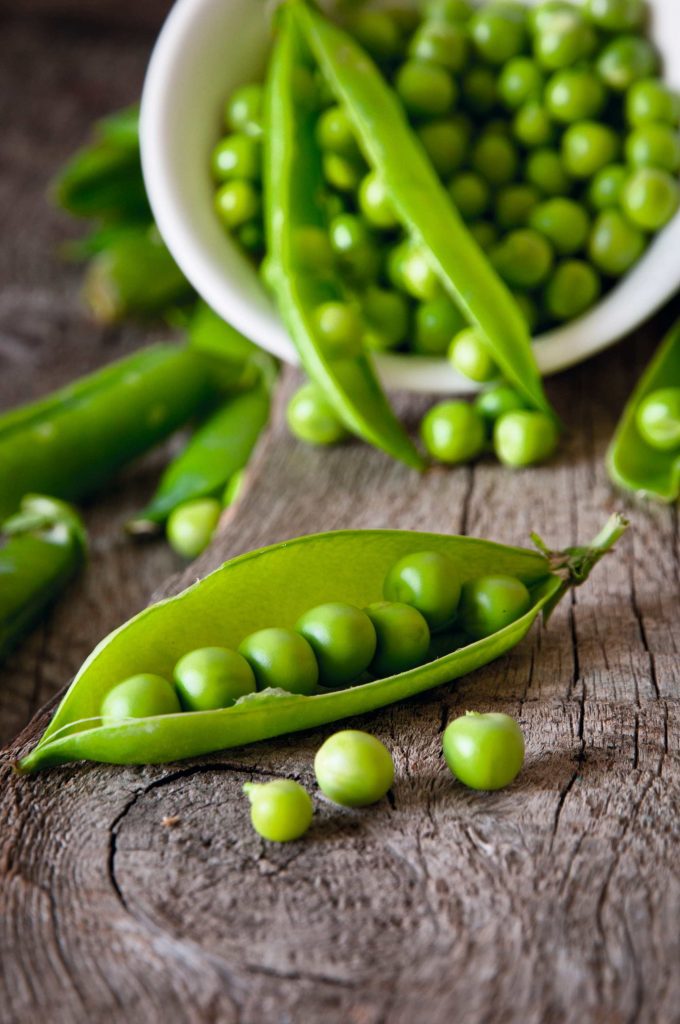 Ervilha: do fruto às sementes - Revista Natureza