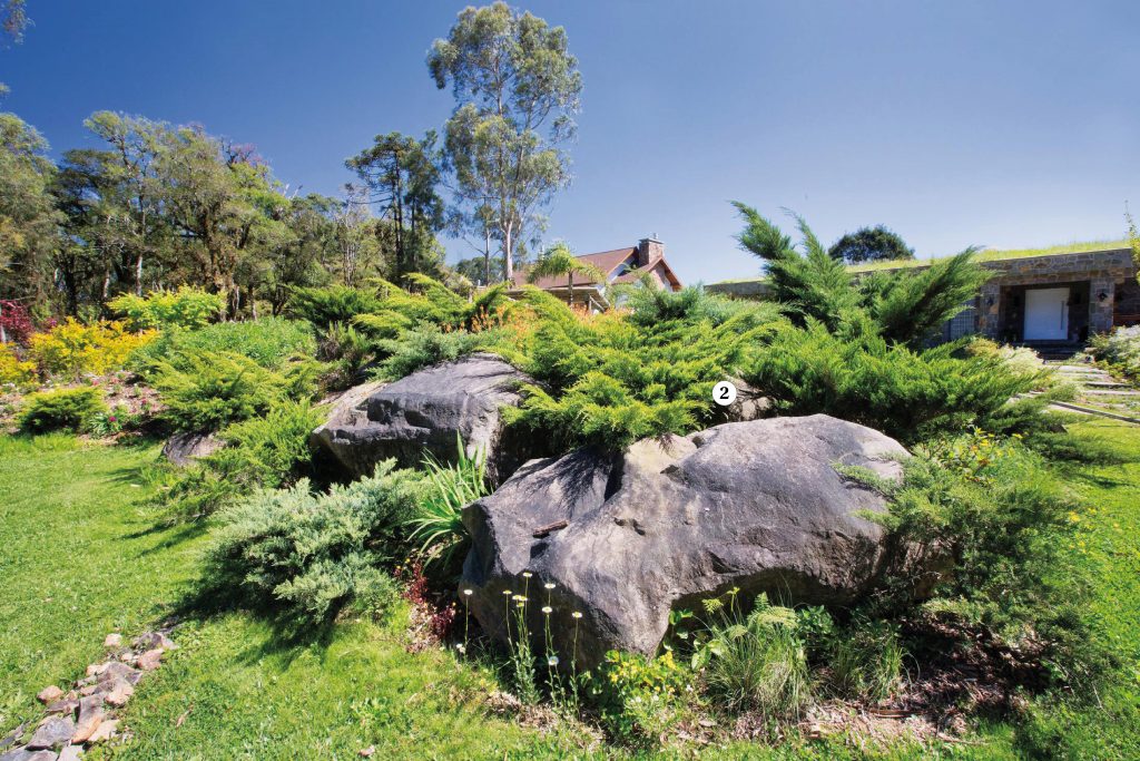 Inspiração naturalista - Revista Natureza