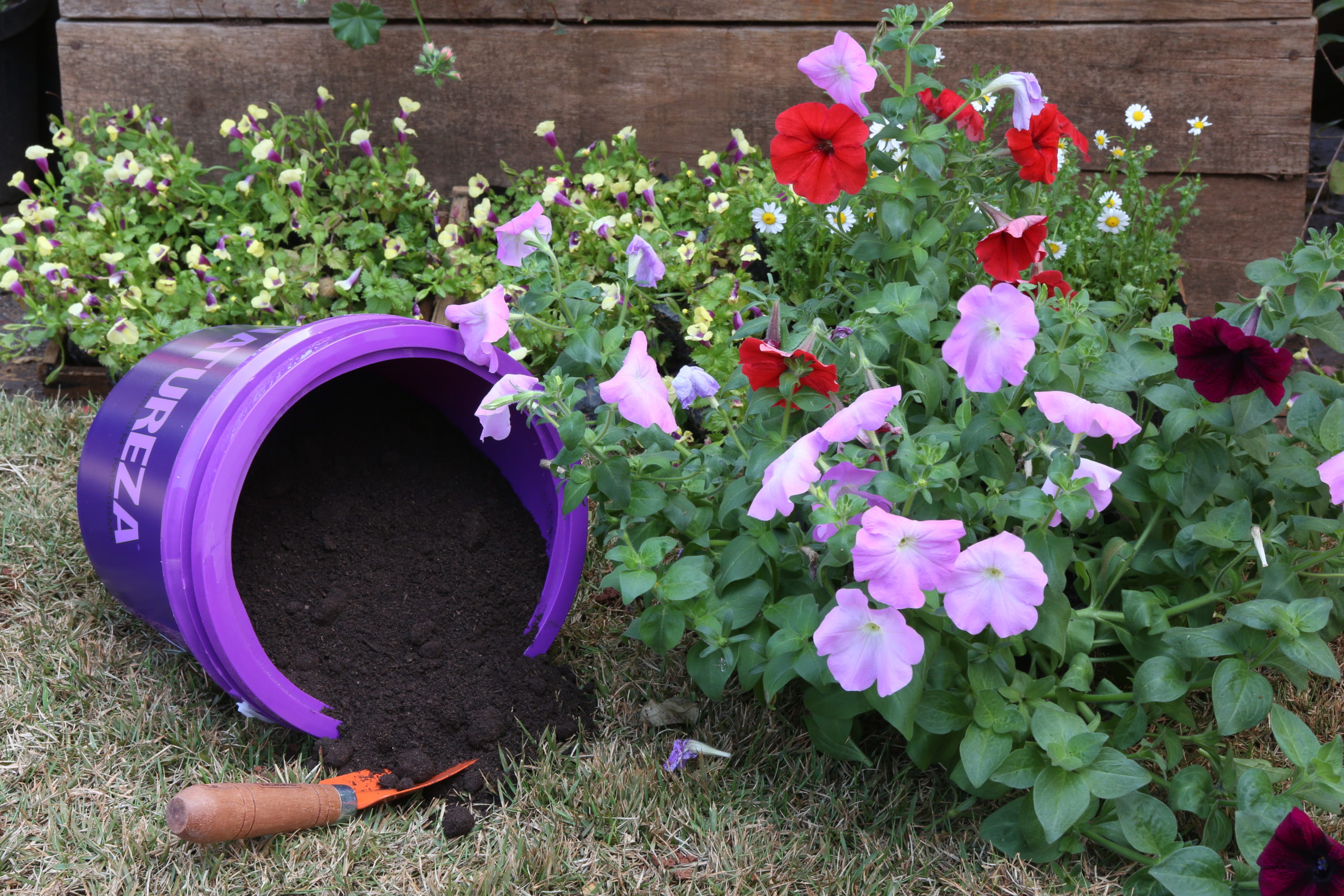 Composteira doméstica - Revista Natureza