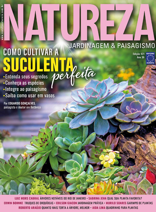 Pitaia na árvore - Revista NaturezaRevista Natureza